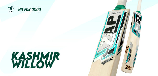 Kashmir Willow Cricket Bat | Best Kashmir Willow Bat | ZAP Cricket